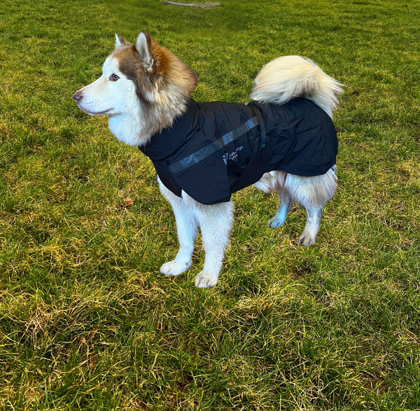 ***NEW*** Trekking Dog Raincoat (Non-Stop Dogwear) – SnowPaw Store