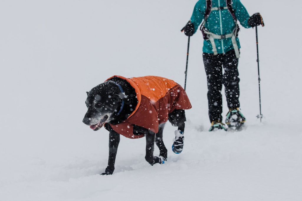 Vert™ Jacket (Ruffwear) – SnowPaw Store